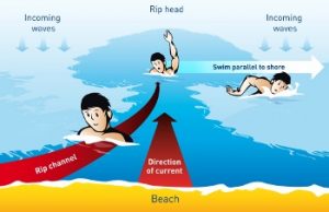 Beginners, Guide, to Surf, Safety, &, Surf Etiquette - Sbsboards.com